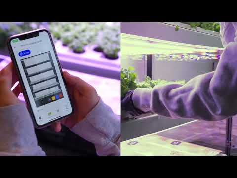 GrowOff MicroFarm by Grönska - Everyone Can grow!