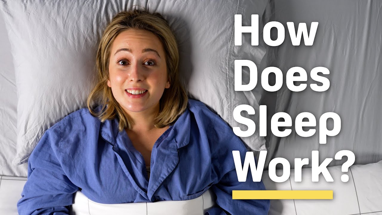 How Does Sleep Work and WHY Do We Need It?