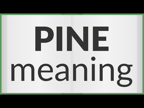 Pine | meaning of Pine