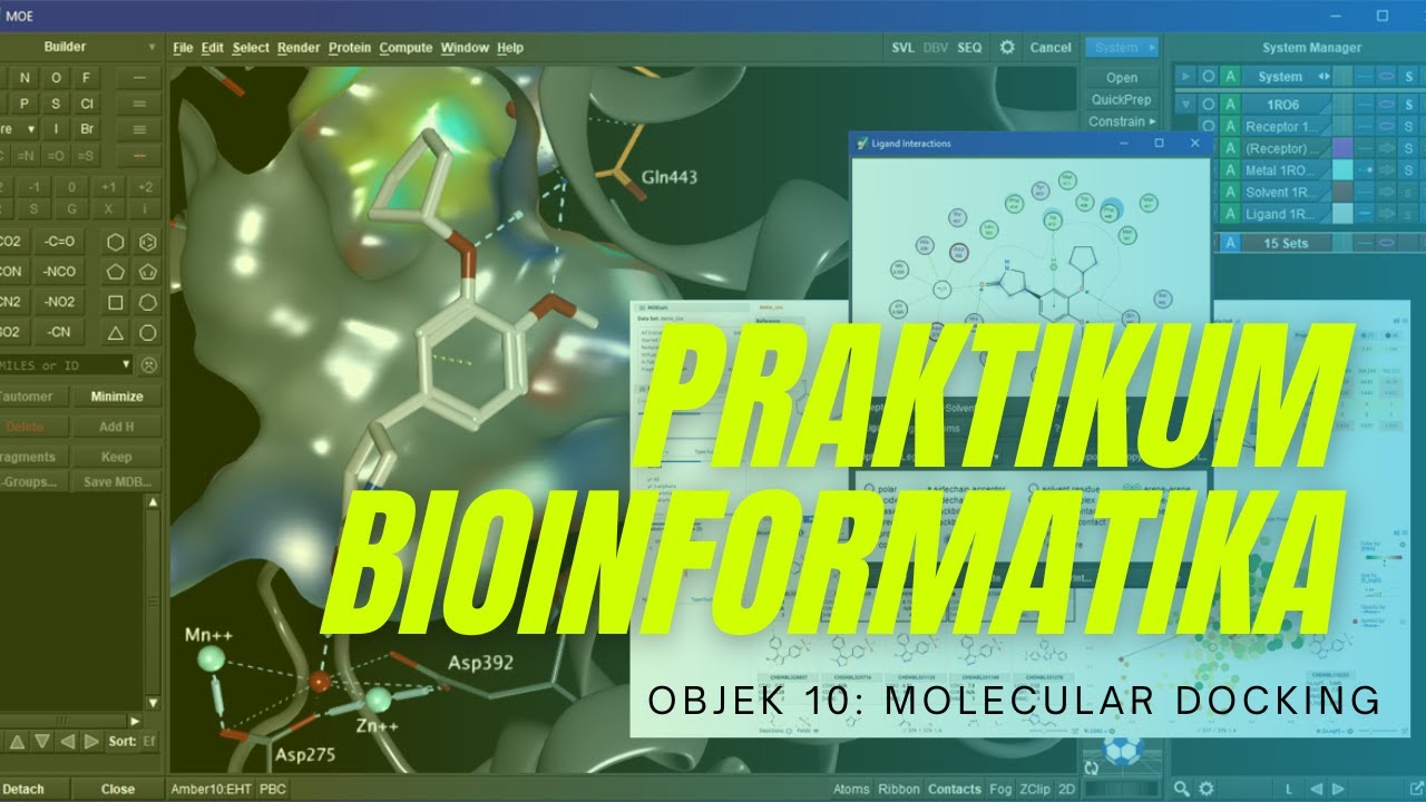 Praktikum Bioinformatika | Molecular Docking