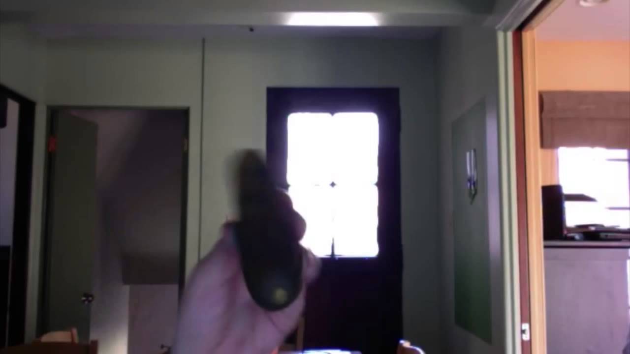 flying pickle official music video