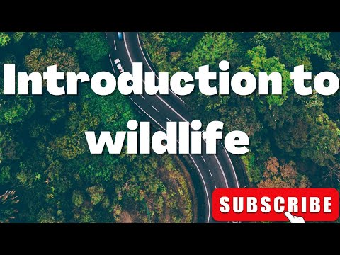 Introduction to Wildlife. its conservation, benefits, depletion causes easy explain in urdu, hindi 💯