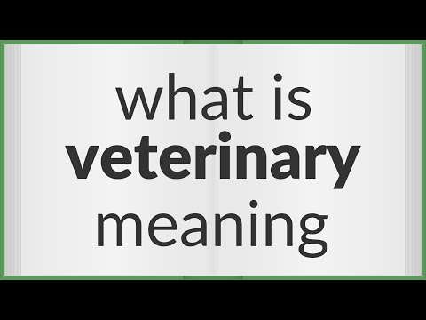 Veterinary | meaning of Veterinary