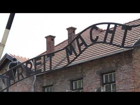 Arbeit Macht Frei Gate – Auschwitz Entrance (Silent Footage for Reflection)