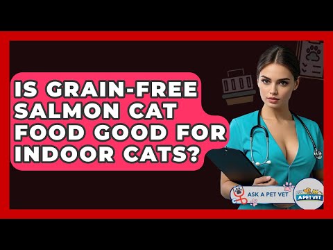 Is Grain-Free Salmon Cat Food Good For Indoor Cats? - Ask A Pet Vet