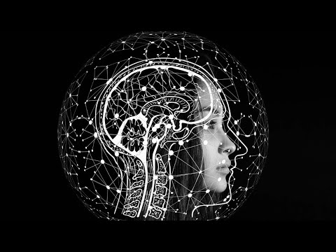 Does a Child Inherit Intelligence from the Mother or the Father?
