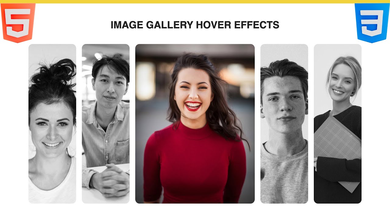 Stunning HTML & CSS Card Animation Tutorial on Hover