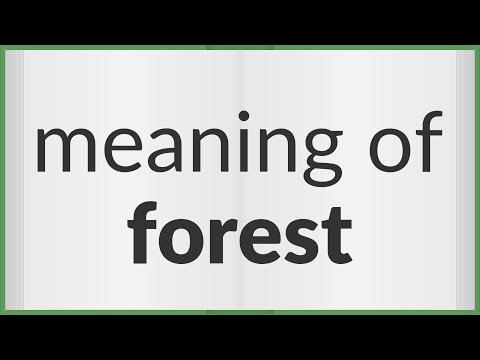 Forest | meaning of Forest
