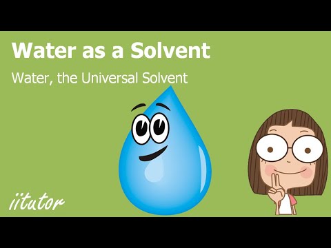 💯 An Ultimate guide to Water as a Solvent | Water, the Universal Solvent