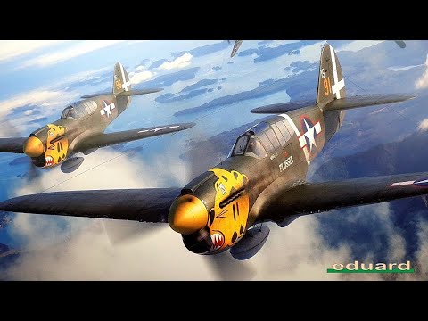 EDUARD IS THE BEST! 100% NEW TOOLING (1:48 P-40E REVIEW)