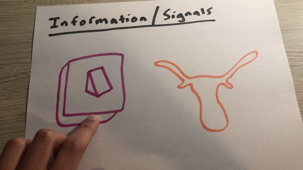 Black Box Model Tutorial