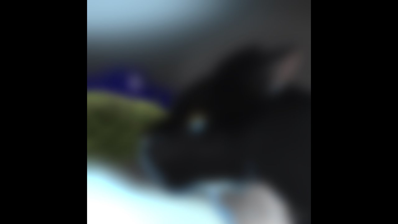 2020 Warrior cat redraw “Moonpool”
