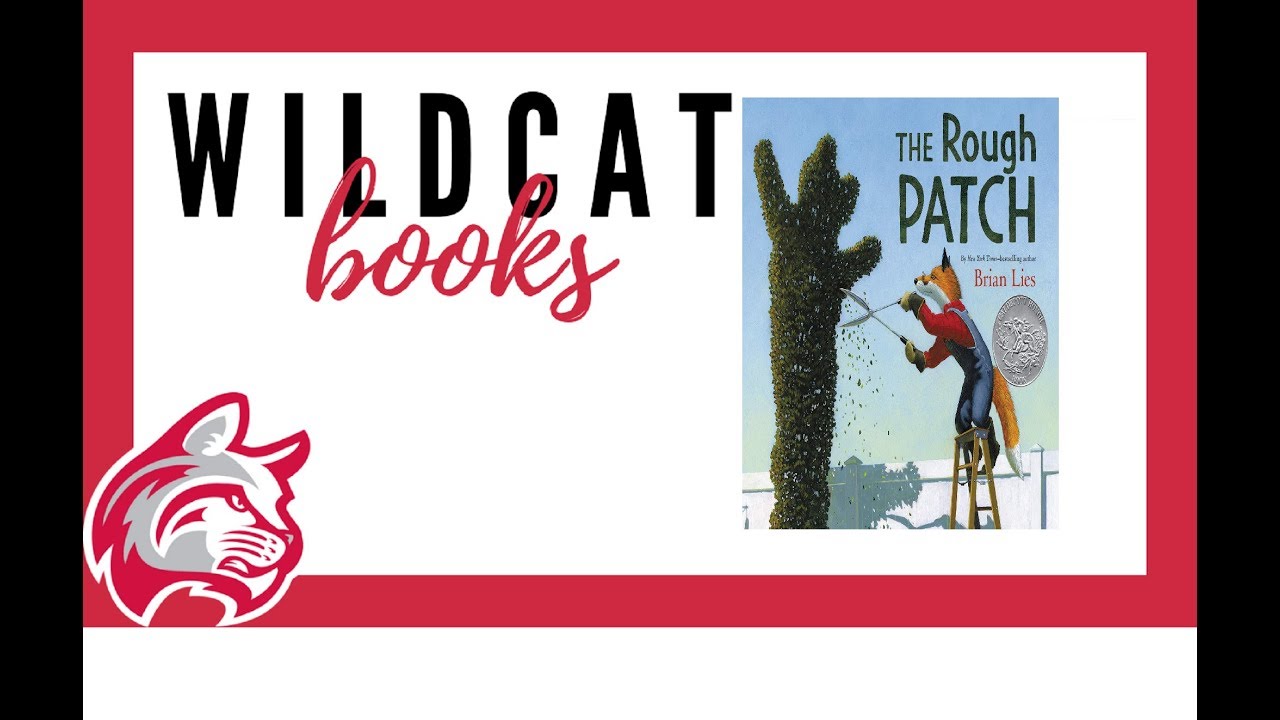 Wildcat Books: The Rough Patch