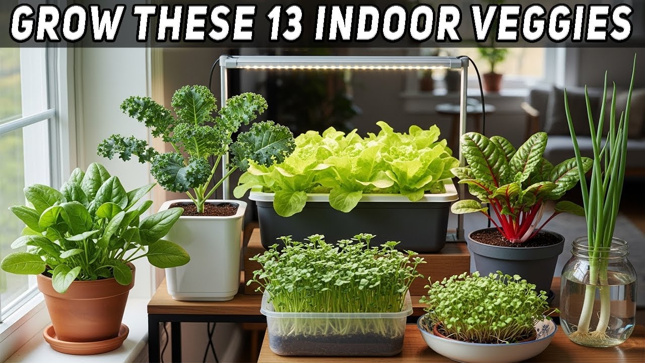 13 Best Vegetables to Grow Indoors for Fresh Harvests Year-Round