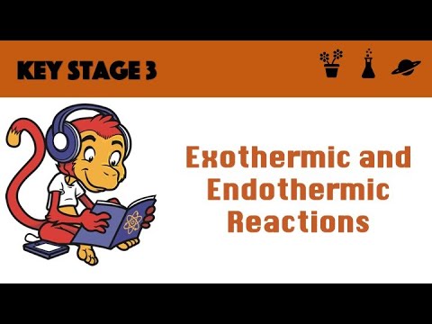 Exothermic and Endothermic Reactions