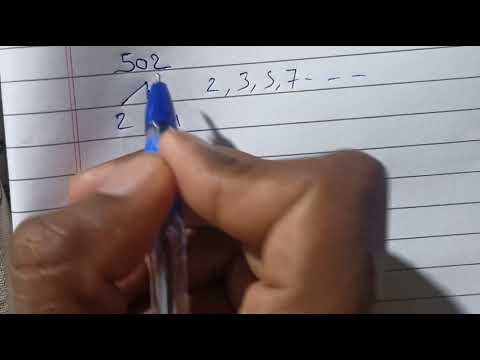 factor tree of 502 | prime factor tree |