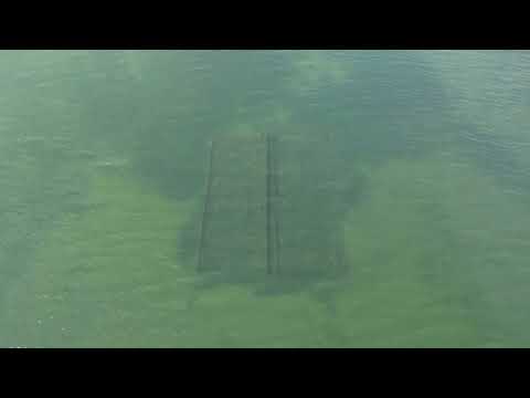 Rose Bay Barges – Shotline Diving