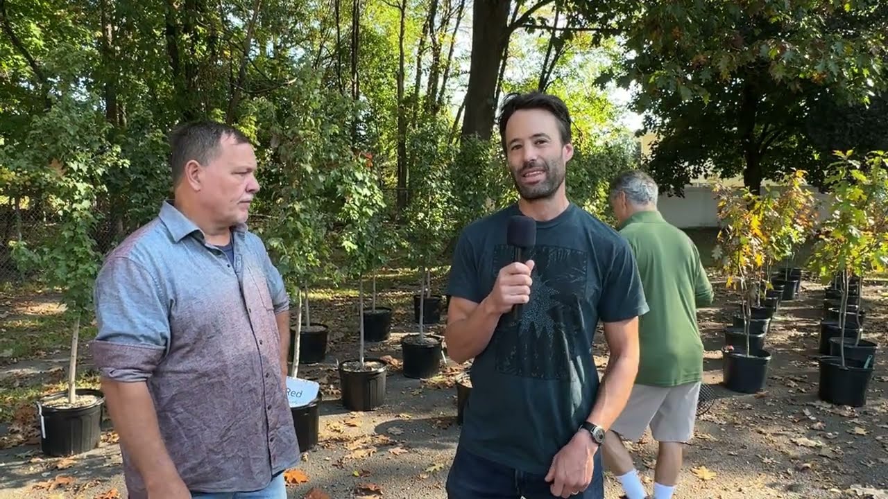 Tree pickup for the Tree Canopy Program