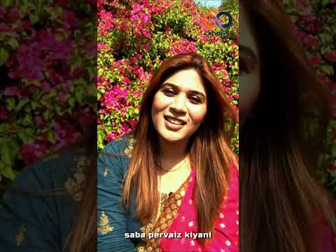 People of Punjab | Colors of Punjabis |