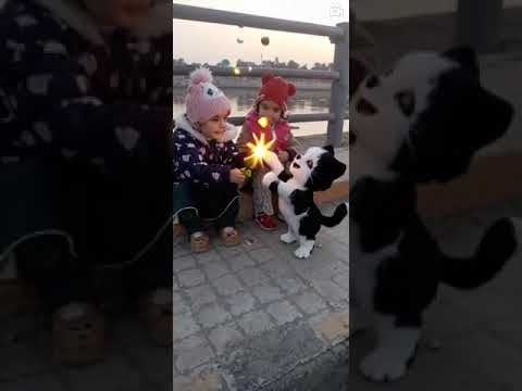 Why Cartoons Are Getting Weirder