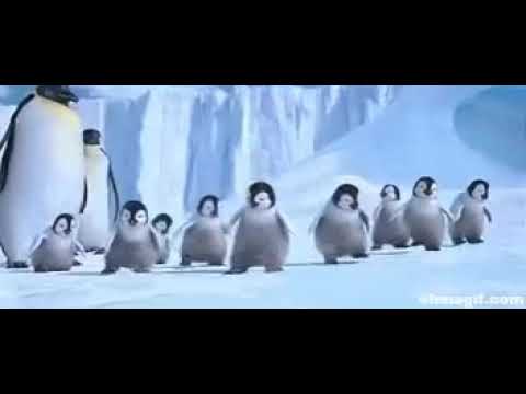 I like penguins