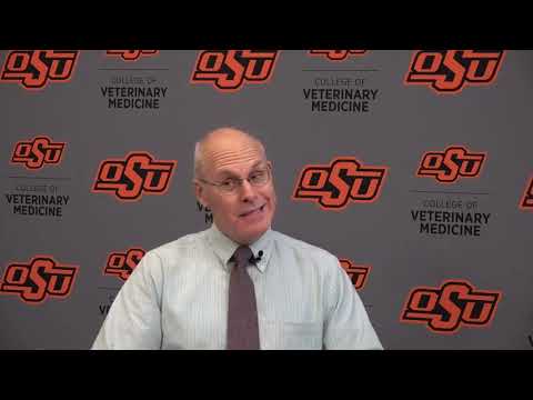 Vet Med Faces of Research: Dr. Myron Hinsdale