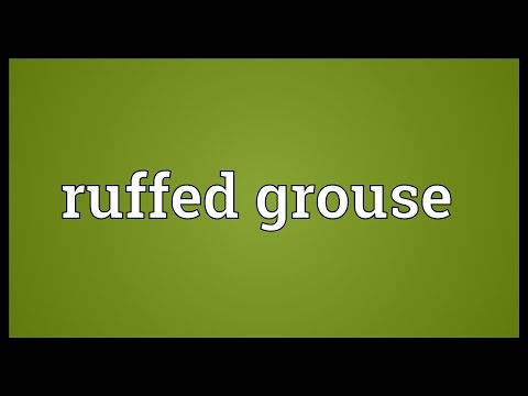 Ruffed grouse Meaning