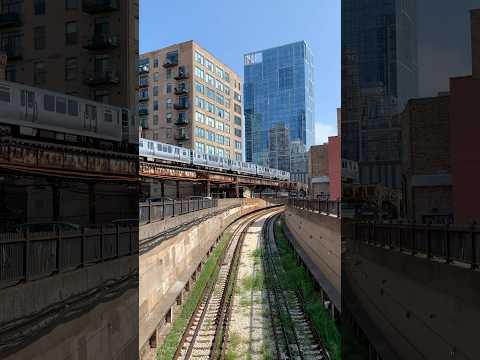 The CTA in Chicago passes near old overgrown tracks in the South Loop #cta #railways