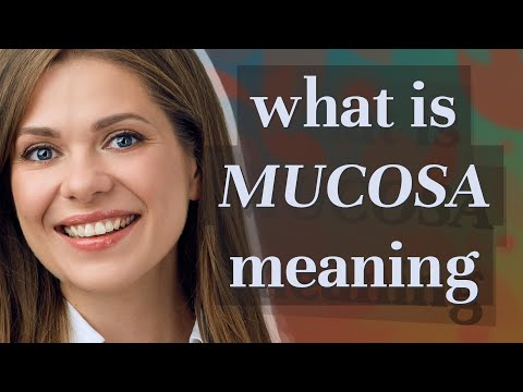 Mucosa | meaning of Mucosa