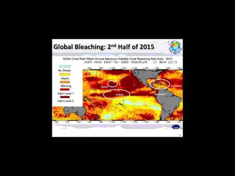 Preparing for Coral Bleaching: Outlook and Lessons in Monitoring & Response