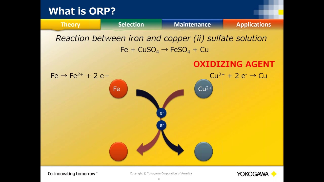 ORP Basics Unedited