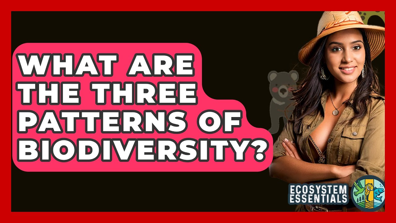 What Are The Three Patterns Of Biodiversity? - Ecosystem Essentials