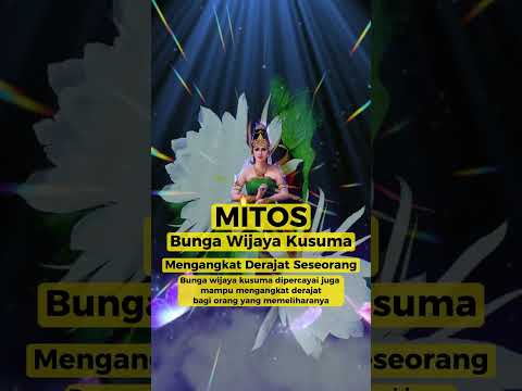 Mitos Bunga Wijaya Kusuma🔥❤️🔥💥