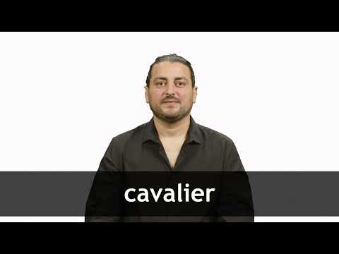 English Translation of “CAVALIER” | Collins French-English Dictionary
