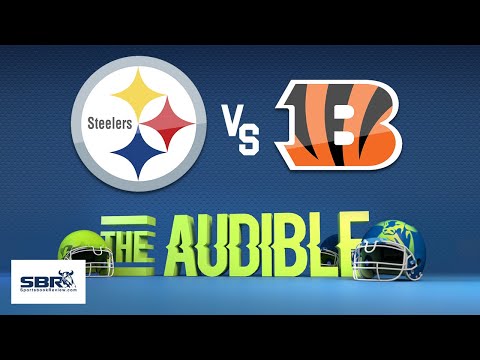 Steelers vs Bengals Week 17 NFL Picks Against The Spread | NFL Picks and Predictions