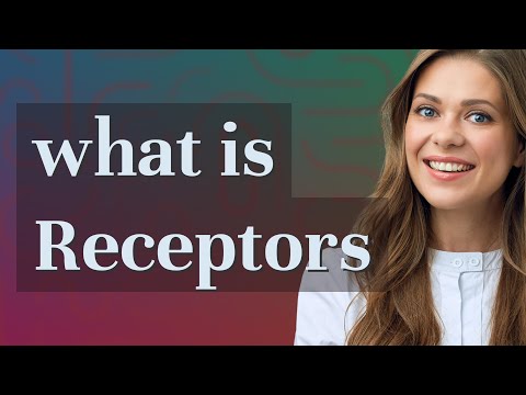 Receptors | meaning of Receptors