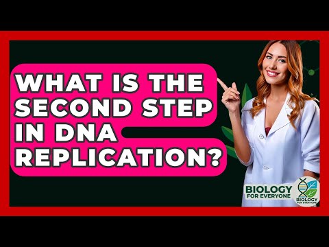 What Is The Second Step In DNA Replication? - Biology For Everyone