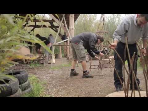 Ecotherapy: an introduction