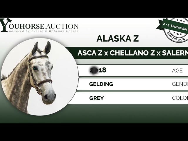 Youhorse.auction | Alaska Z