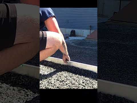 What is (Chip Stone)?