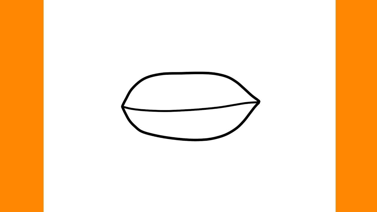 How to draw PECAN step by step