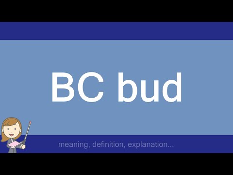 BC bud