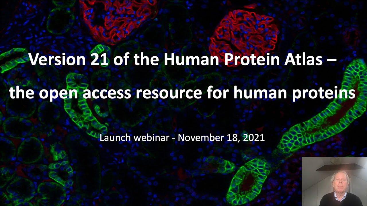 HPA 21 - Launch webinar