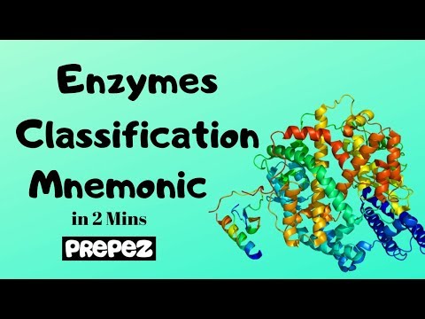 Enzymes Classification and Examples Mnemonic in 2 mins Video Lecture - NEET