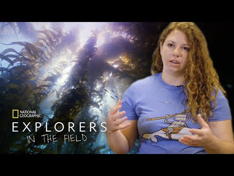 Robots of the Deep | Explorers in the Field