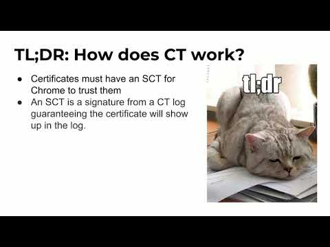BSidesSF 2019 - Cats? In My Certificate Transparency Logs? (Scott Behrens • Ian Haken)