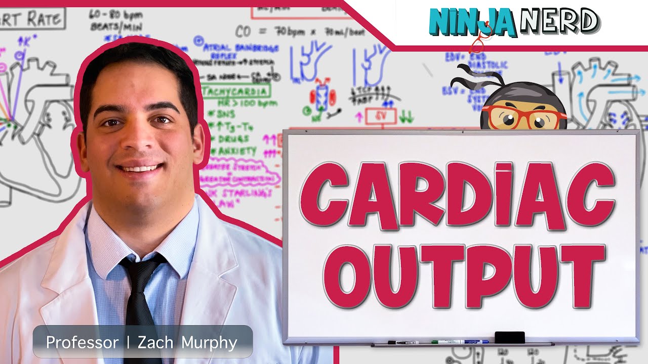 Understanding Cardiac Output: The Heart's Performance Explained | Galaxy.ai