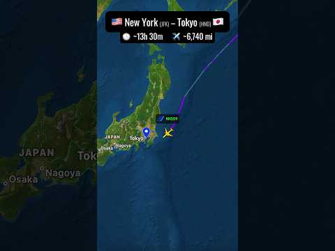 NEW YORK to TOKYO: The Most Fascinating Facts