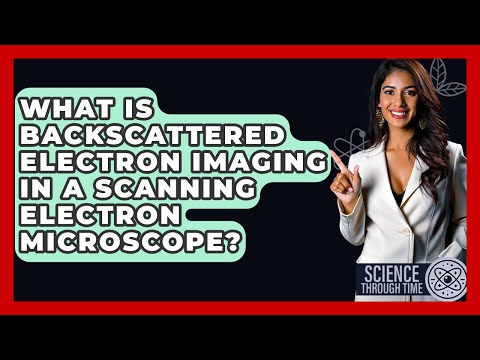 What Is Backscattered Electron Imaging In A Scanning Electron Microscope? - Science Through Time