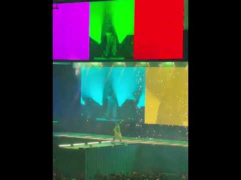 Mr Tyler the Creator